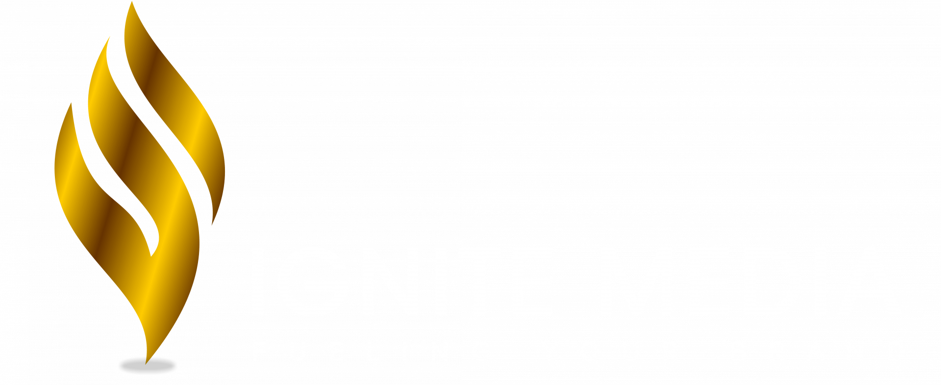 Ignite Media | Marketing Consultant Cape Town